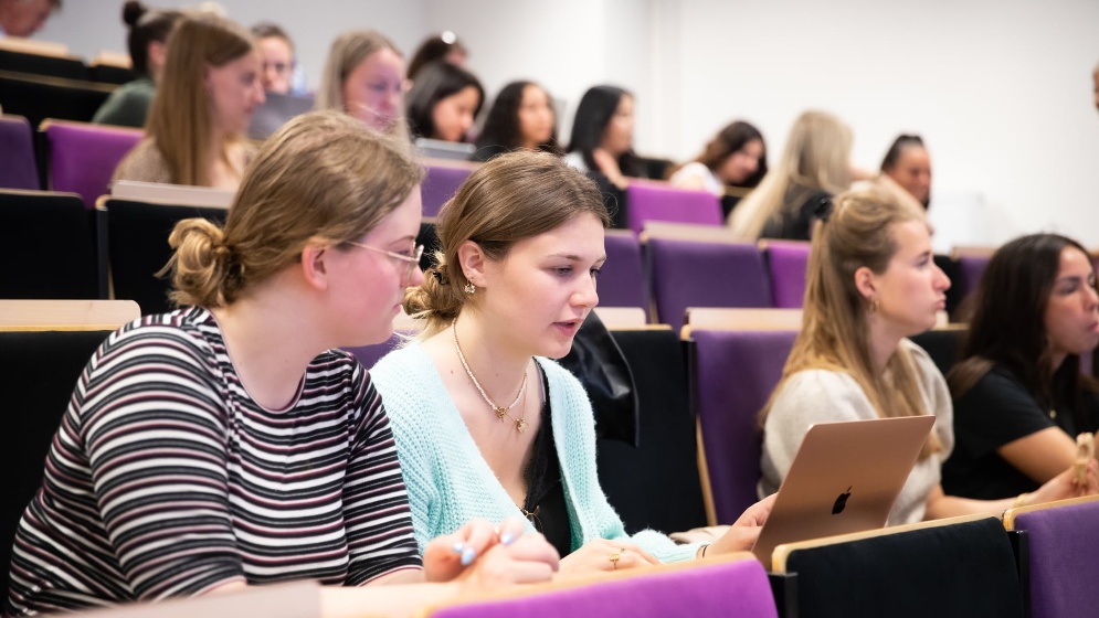 Hbo Associate degree Management | Avans Academie